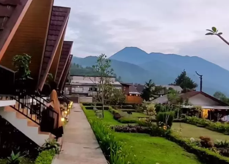 Green View Puncak